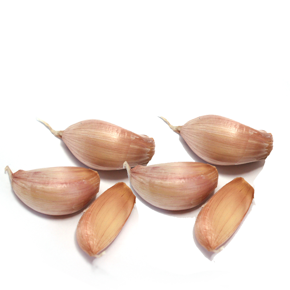 SalemmaOnline | AJO DESGRANADO X UND